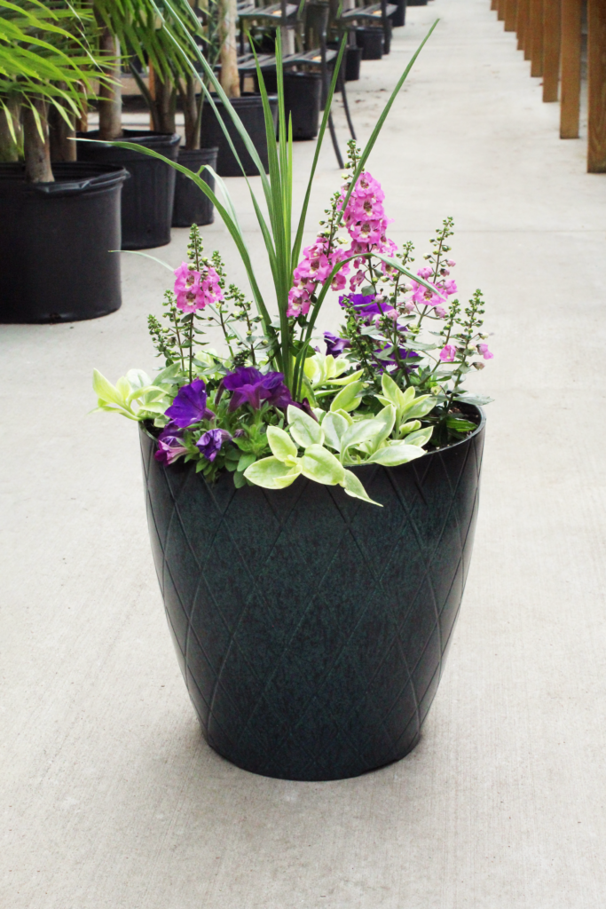 Sweet Spring Planter - Moscarillo's Garden Shoppe