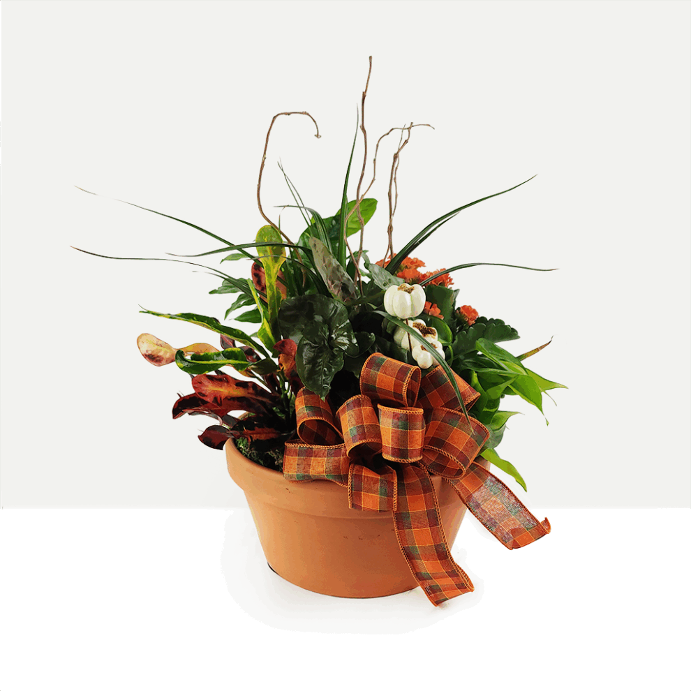 Terracotta Fall - Moscarillo's Garden Shoppe
